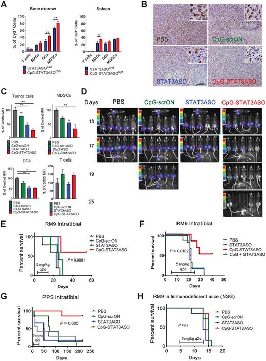 STAT3 Inhibition Combined with CpG Immunostimulation Activates ...
