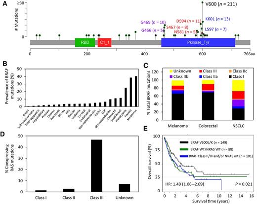Dual MAPK Inhibition Is an Effective Therapeutic Strategy for a Subset ...