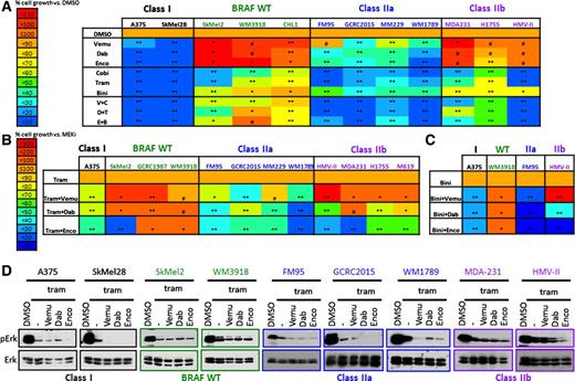 Dual MAPK Inhibition Is an Effective Therapeutic Strategy for a Subset ...