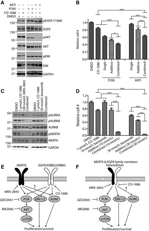MERTK Promotes Resistance to Irreversible EGFR Tyrosine Kinase ...
