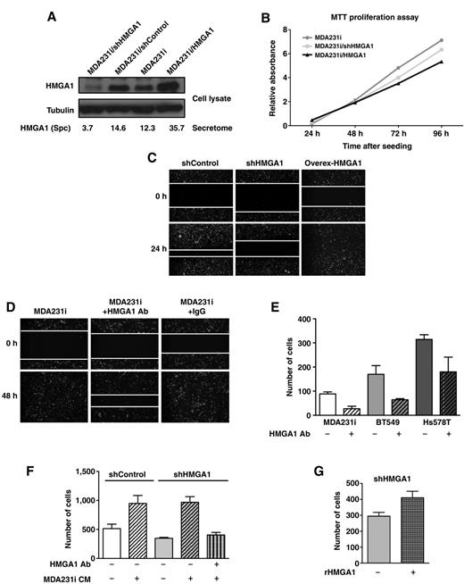 Extracellular HMGA1 Promotes Tumor Invasion and Metastasis in Triple ...