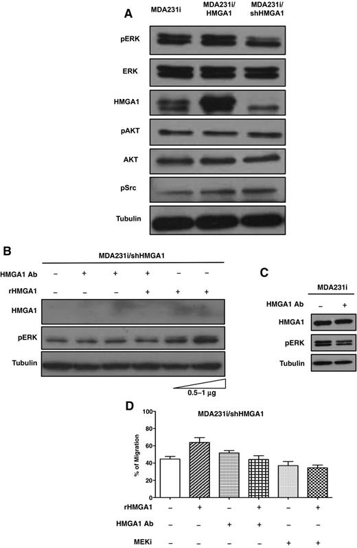 Extracellular HMGA1 Promotes Tumor Invasion and Metastasis in Triple ...