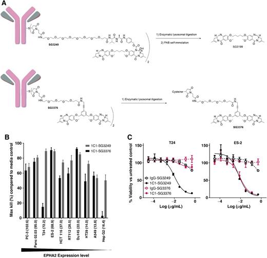 SLC46A3 as a Potential Predictive Biomarker for Antibody–Drug ...