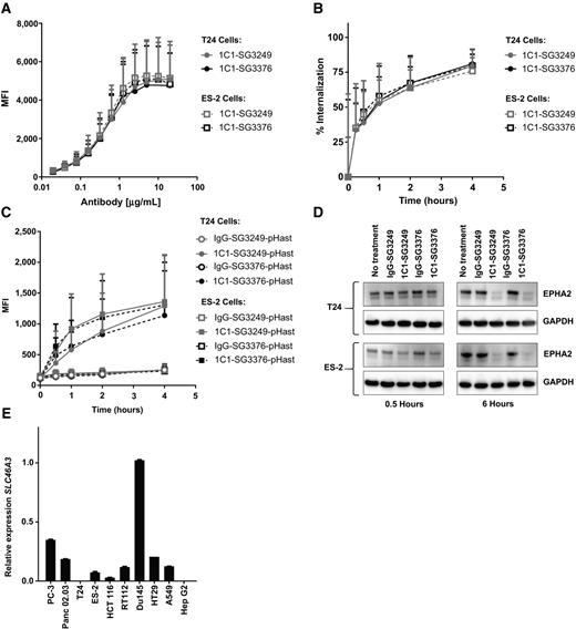 SLC46A3 as a Potential Predictive Biomarker for Antibody–Drug ...