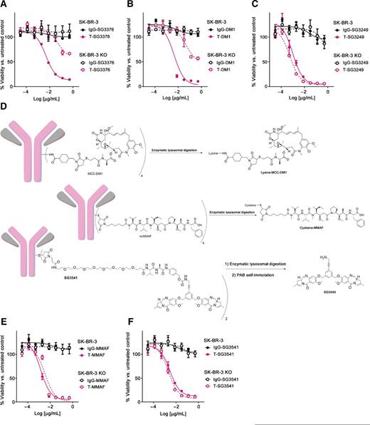 SLC46A3 as a Potential Predictive Biomarker for Antibody–Drug ...