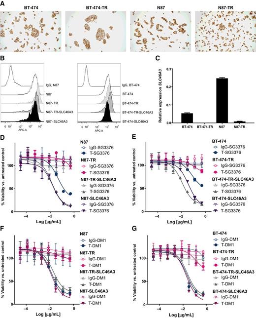 SLC46A3 as a Potential Predictive Biomarker for Antibody–Drug ...