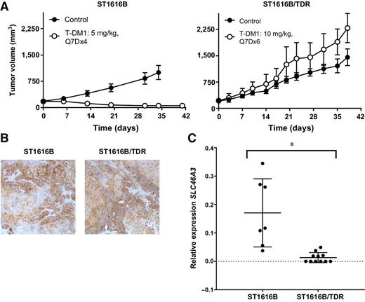 SLC46A3 as a Potential Predictive Biomarker for Antibody–Drug ...