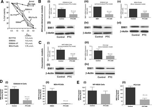 BMI1 Drives Metastasis of Prostate Cancer in Caucasian and African ...