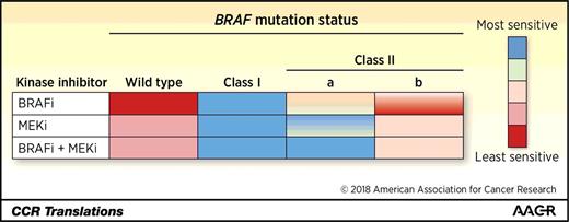 Class Matters: Sensitivity of BRAF-Mutant Melanoma to MAPK Inhibition ...