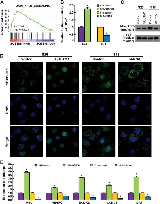 A Prognostic Bio-Model Based on SQSTM1 and N-Stage Identifies ...