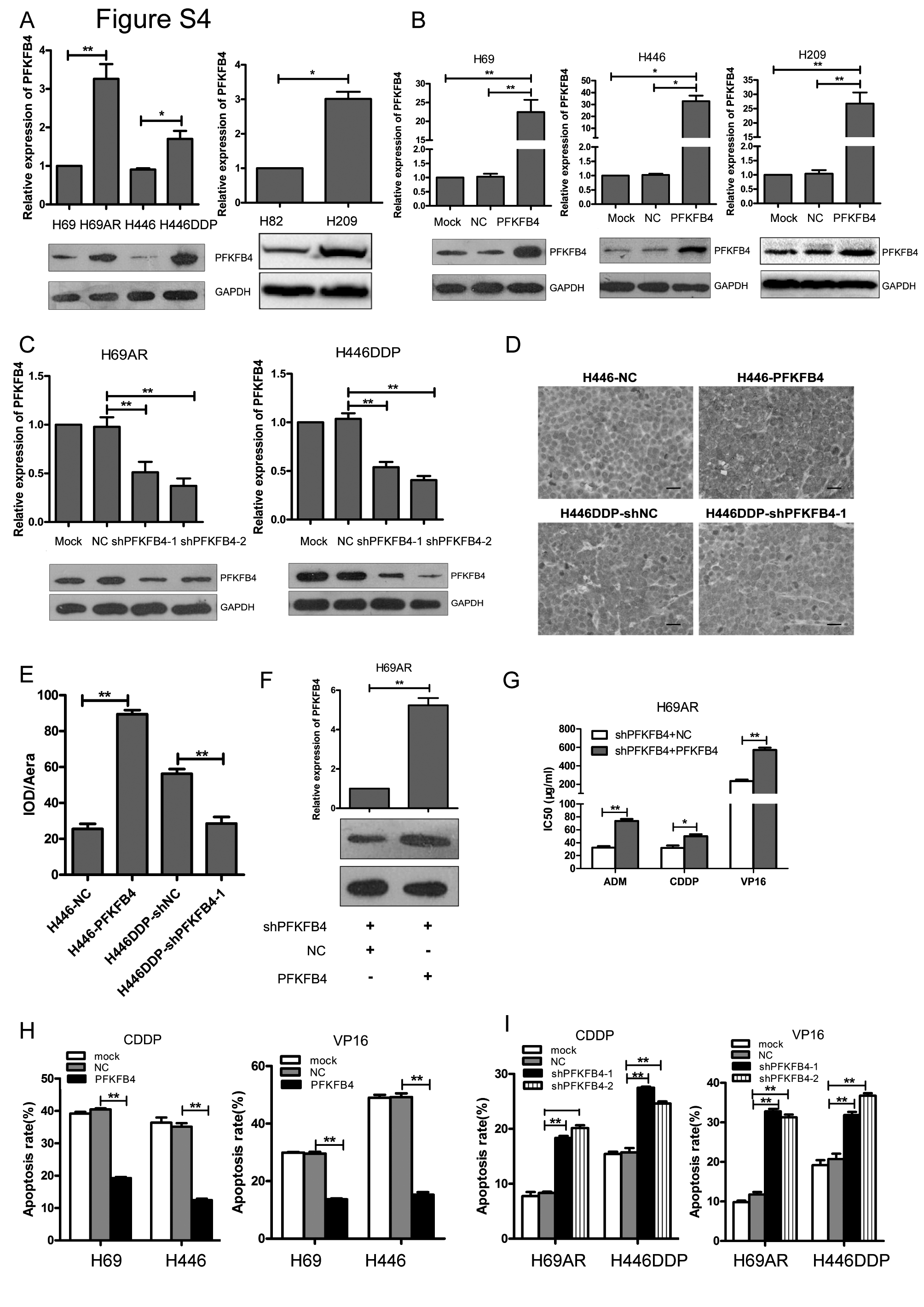 Etk Interaction with PFKFB4 Modulates Chemoresistance of Small-cell ...
