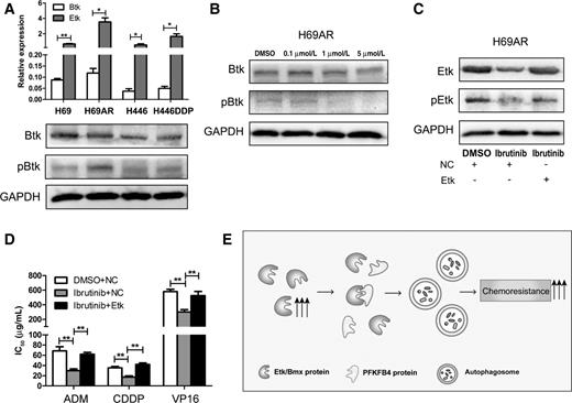 Etk Interaction with PFKFB4 Modulates Chemoresistance of Small-cell ...