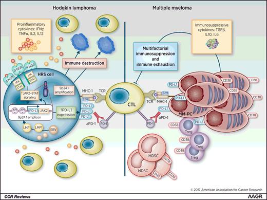 Immunotherapy of Lymphoma and Myeloma: Facts and Hopes | Clinical ...