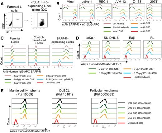 Novel BAFF-Receptor Antibody to Natively Folded Recombinant Protein ...