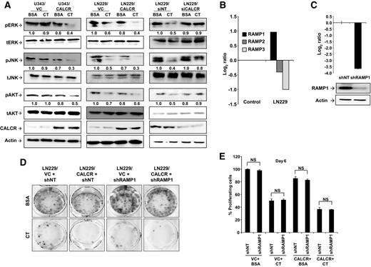 Loss-of-Function Mutations in Calcitonin Receptor (CALCR) Identify ...