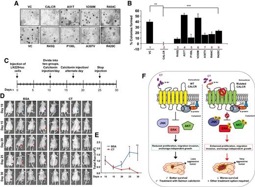 Loss-of-Function Mutations in Calcitonin Receptor (CALCR) Identify ...