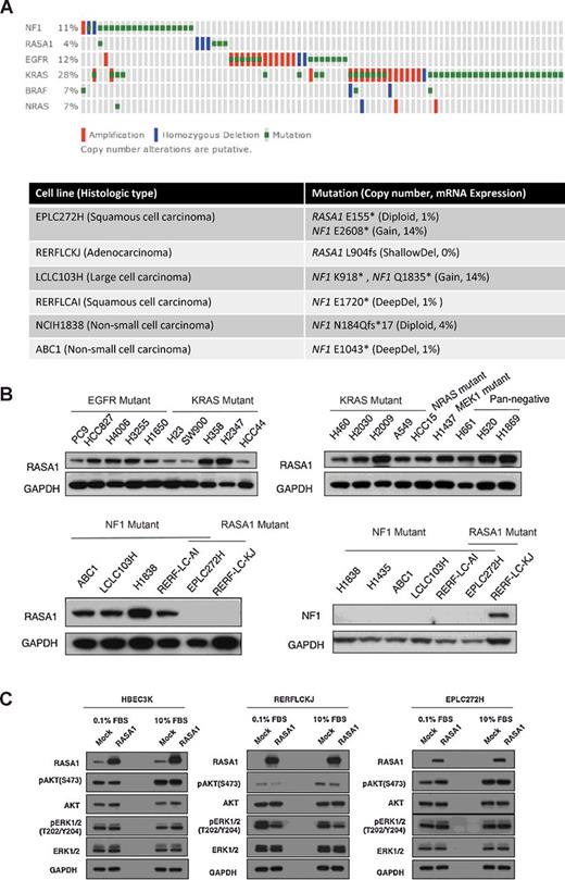 RASA1 and NF1 are Preferentially Co-Mutated and Define A Distinct ...