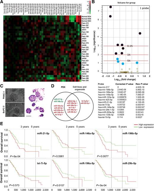 Personalized RNA Medicine for Pancreatic Cancer | Clinical Cancer ...
