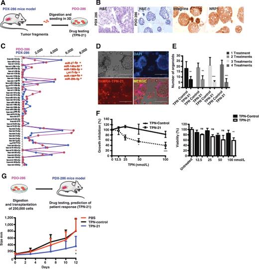 Personalized RNA Medicine for Pancreatic Cancer | Clinical Cancer ...