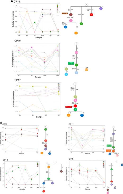 Lymph Node Metastases in Colon Cancer Are Polyclonal | Clinical Cancer Research | American ...