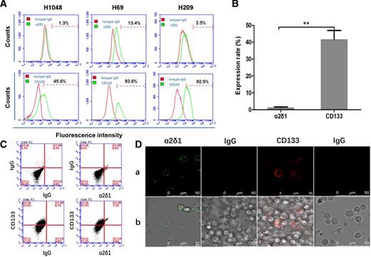 Mechanistic Exploration of Cancer Stem Cell Marker Voltage-Dependent ...