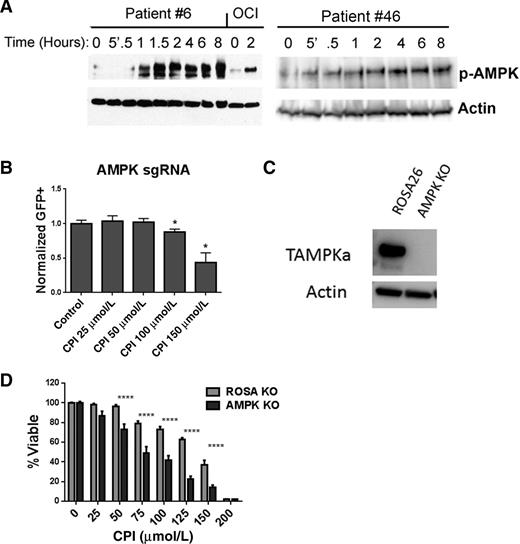 A Phase I Study of CPI-613 in Combination with High-Dose Cytarabine and ...