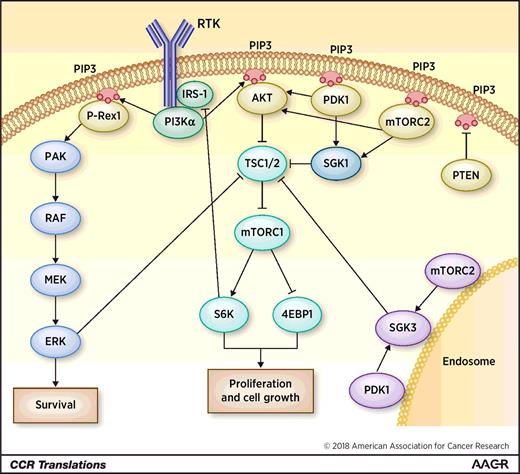 The Strategy of PIKing a Target: What Is AKTually Most Effective ...