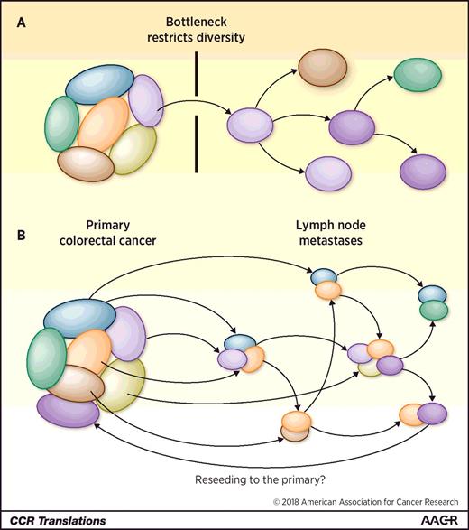 Metastasis Seeding Cells: Lone Invaders or Mass Migrators? | Clinical ...