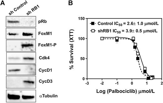 CDK4/6 Inhibitor as a Novel Therapeutic Approach for Advanced Bladder ...