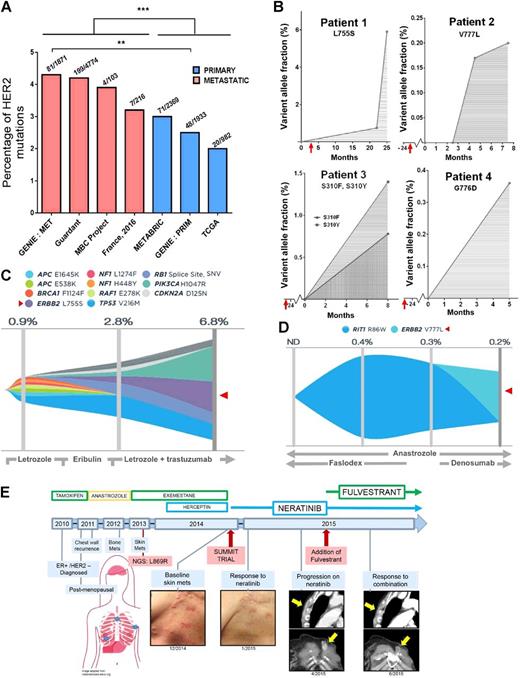 Combined Blockade of Activating ERBB2 Mutations and ER Results in ...