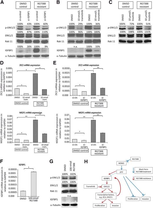 Targeting Resistance against the MDM2 Inhibitor RG7388 in Glioblastoma ...