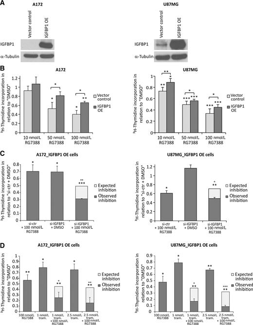 Targeting Resistance against the MDM2 Inhibitor RG7388 in Glioblastoma ...