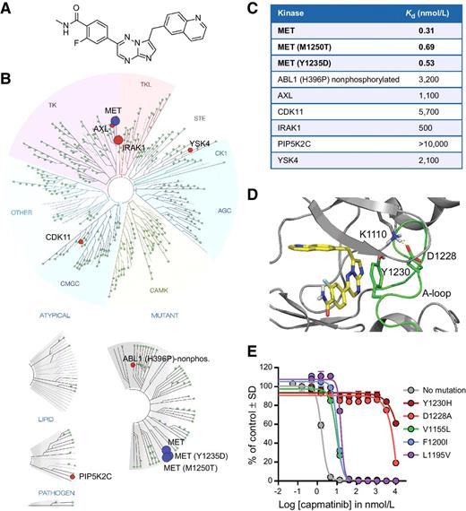 Capmatinib (INC280) Is Active Against Models of Non–Small Cell Lung ...