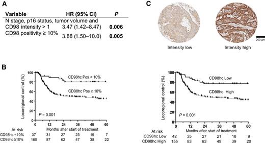 The CD98 Heavy Chain Is a Marker and Regulator of Head and Neck Squamous Cell Carcinoma ...