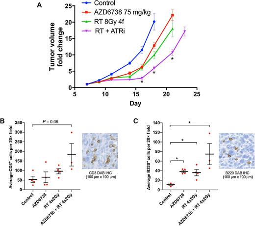 ATR Inhibition Potentiates the Radiation-induced Inflammatory Tumor ...