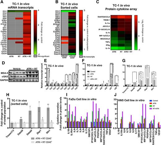 ATR Inhibition Potentiates the Radiation-induced Inflammatory Tumor ...