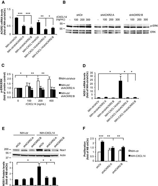 A Novel ACKR2-Dependent Role of Fibroblast-Derived CXCL14 in Epithelial ...
