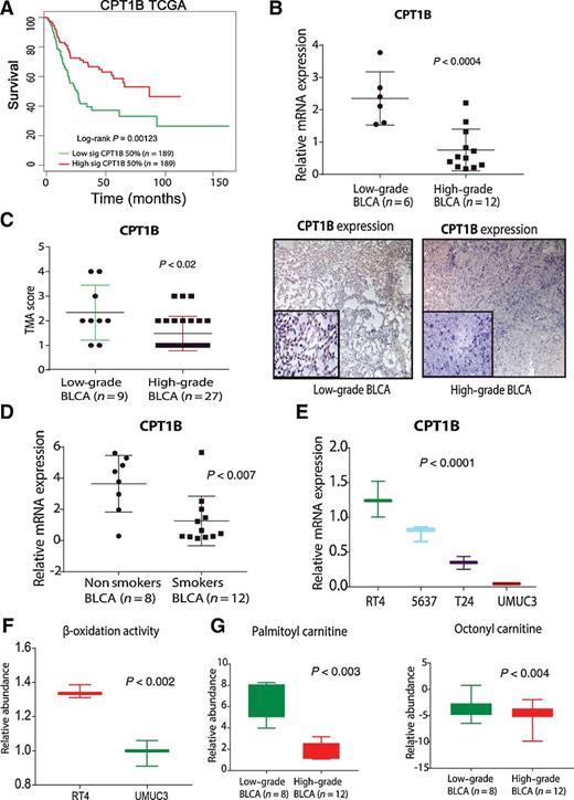 Multi-omics Integration Analysis Robustly Predicts High-Grade Patient ...