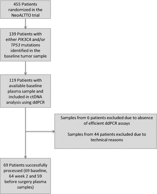 Circulating Tumor DNA in HER2-Amplified Breast Cancer: A Translational ...