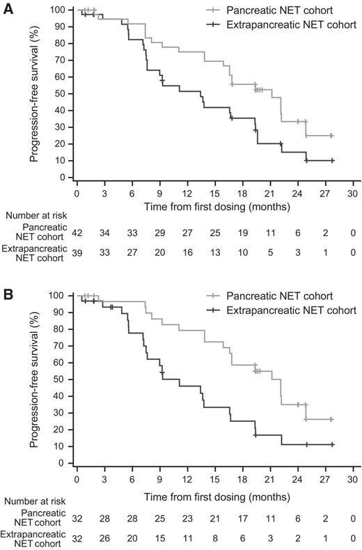 Surufatinib in Advanced Well-Differentiated Neuroendocrine Tumors: A ...
