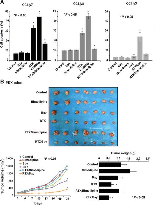 L-Type Cav 1.2 Calcium Channel-α-1C Regulates Response to Rituximab in ...