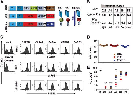 Combined CD28 and 4-1BB Costimulation Potentiates Affinity-tuned ...