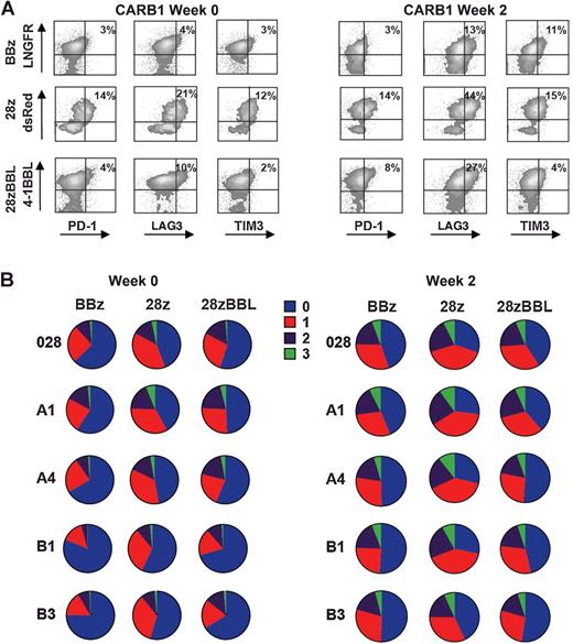 Combined CD28 and 4-1BB Costimulation Potentiates Affinity-tuned ...