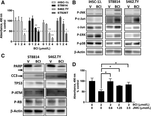 Targeted Inhibition of the Dual Specificity Phosphatases DUSP1 and ...