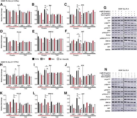 Targeting CD38 Enhances the Antileukemic Activity of Ibrutinib in ...