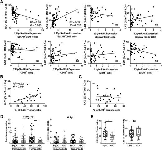 IL23-Producing Human Lung Cancer Cells Promote Tumor Growth via ...