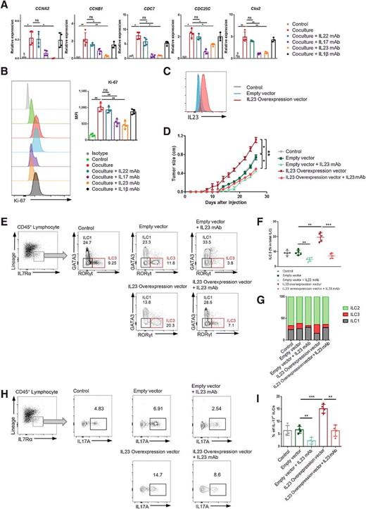 IL23-Producing Human Lung Cancer Cells Promote Tumor Growth via ...