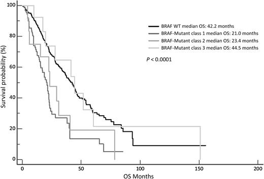Class 1, 2, and 3 BRAF-Mutated Metastatic Colorectal Cancer: A Detailed ...