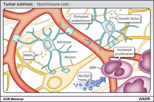 Brain Tumor Microenvironment and Host State: Implications for ...