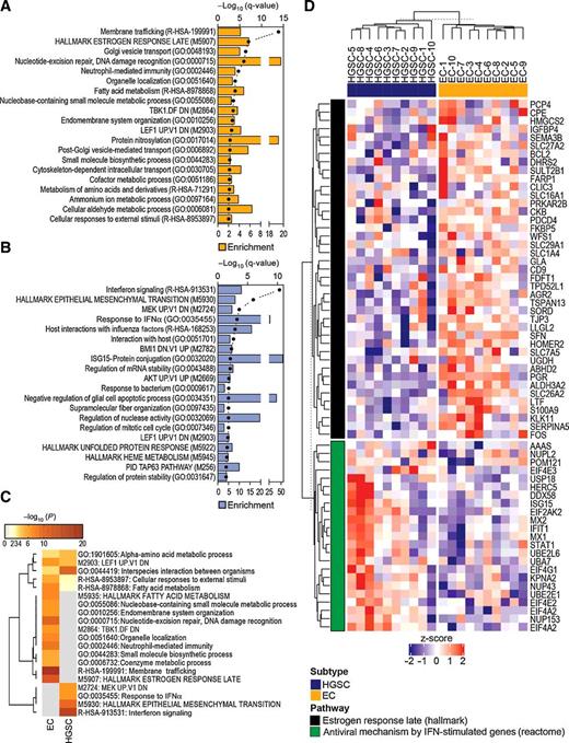 Proteomics-Derived Biomarker Panel Improves Diagnostic Precision to ...